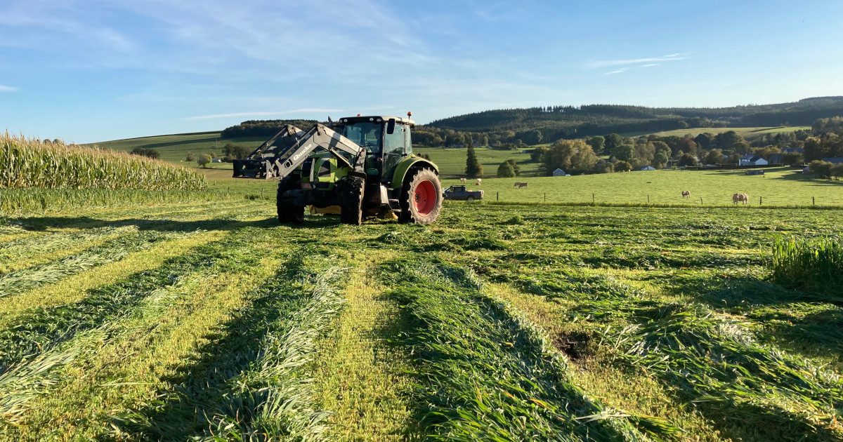 Production du fourrage bio à Hubermont en Ardenne belge