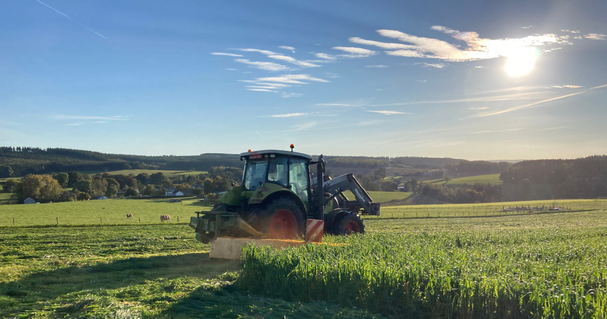 Produire du fourrage en Ardenne belge, c’est simple comme bio